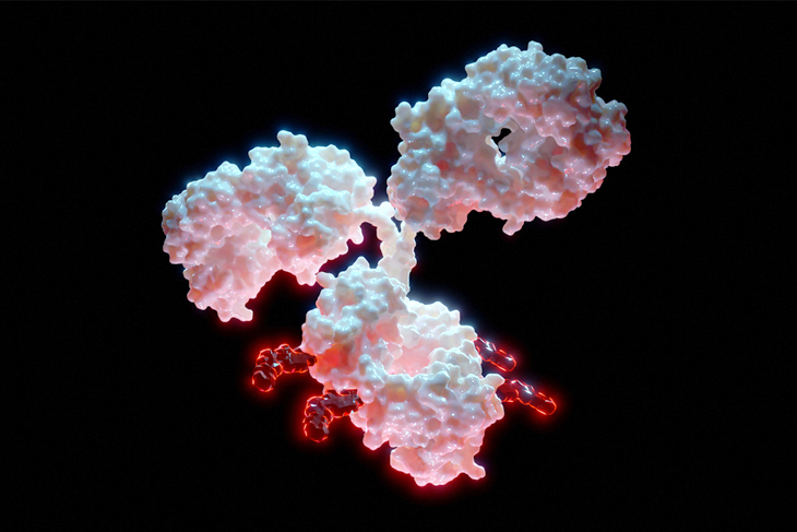 Wie Chemotherapie, aber gezielter