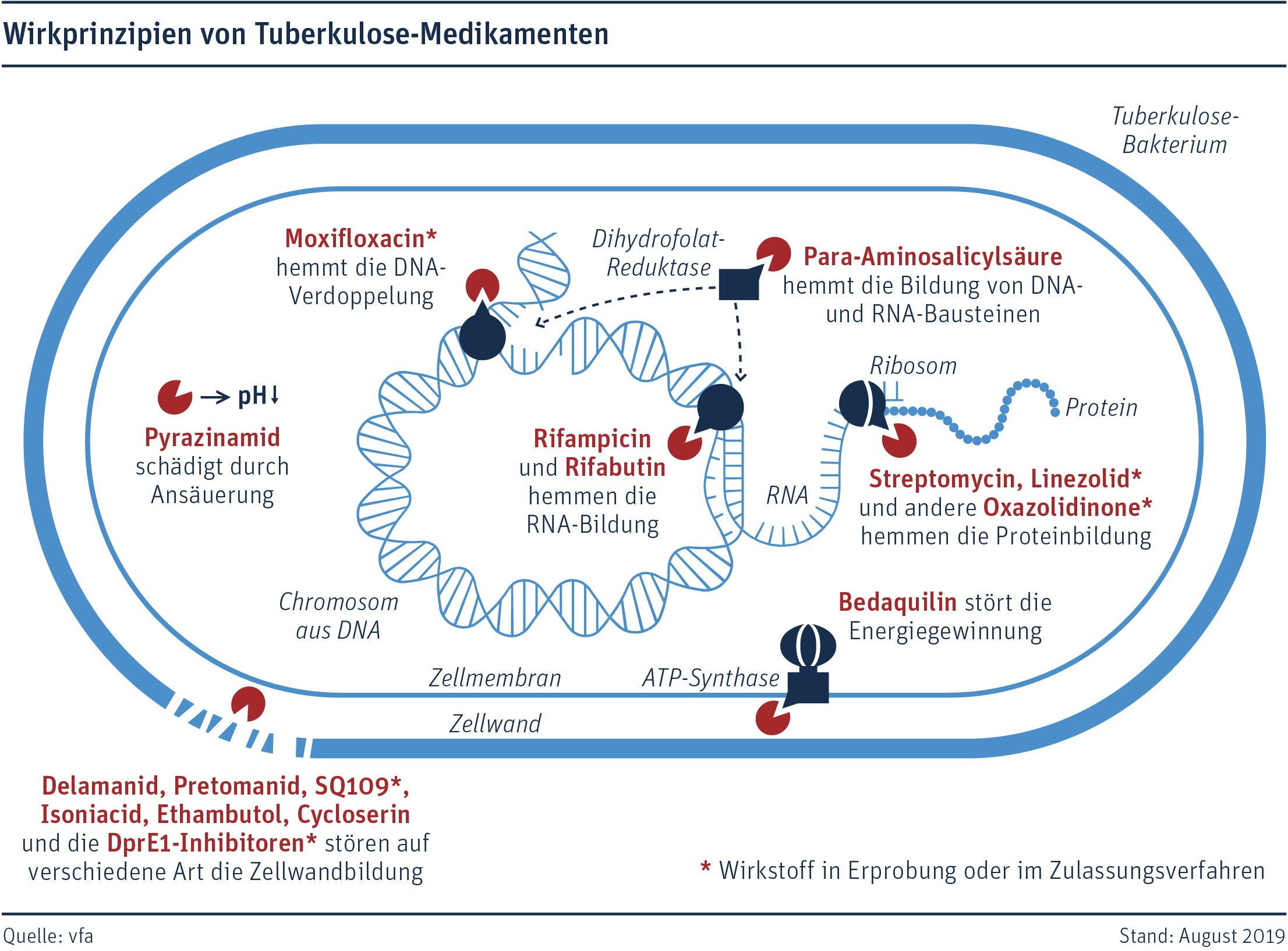 Neue Medikamente gegen Tuberkulose | vfa